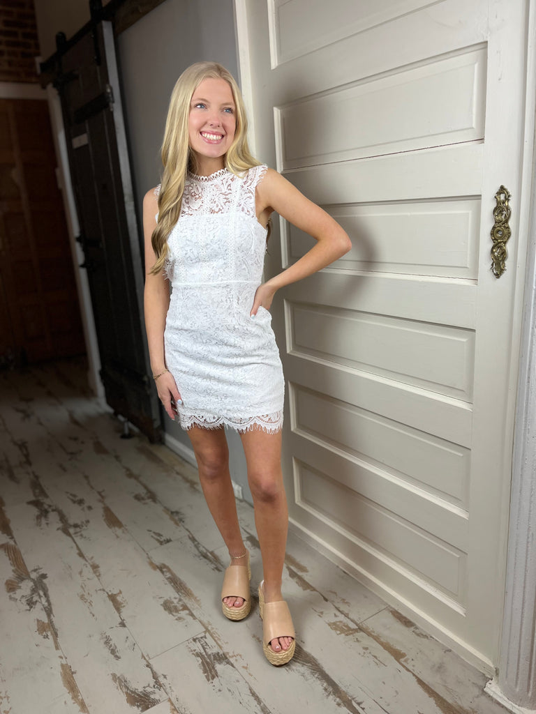 Adorn me in Lace Sleeveless Mini Dress – Laughton & CO